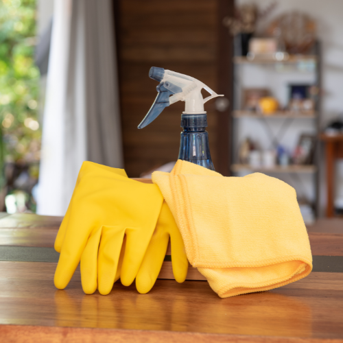 Cleaning – Safari Treats